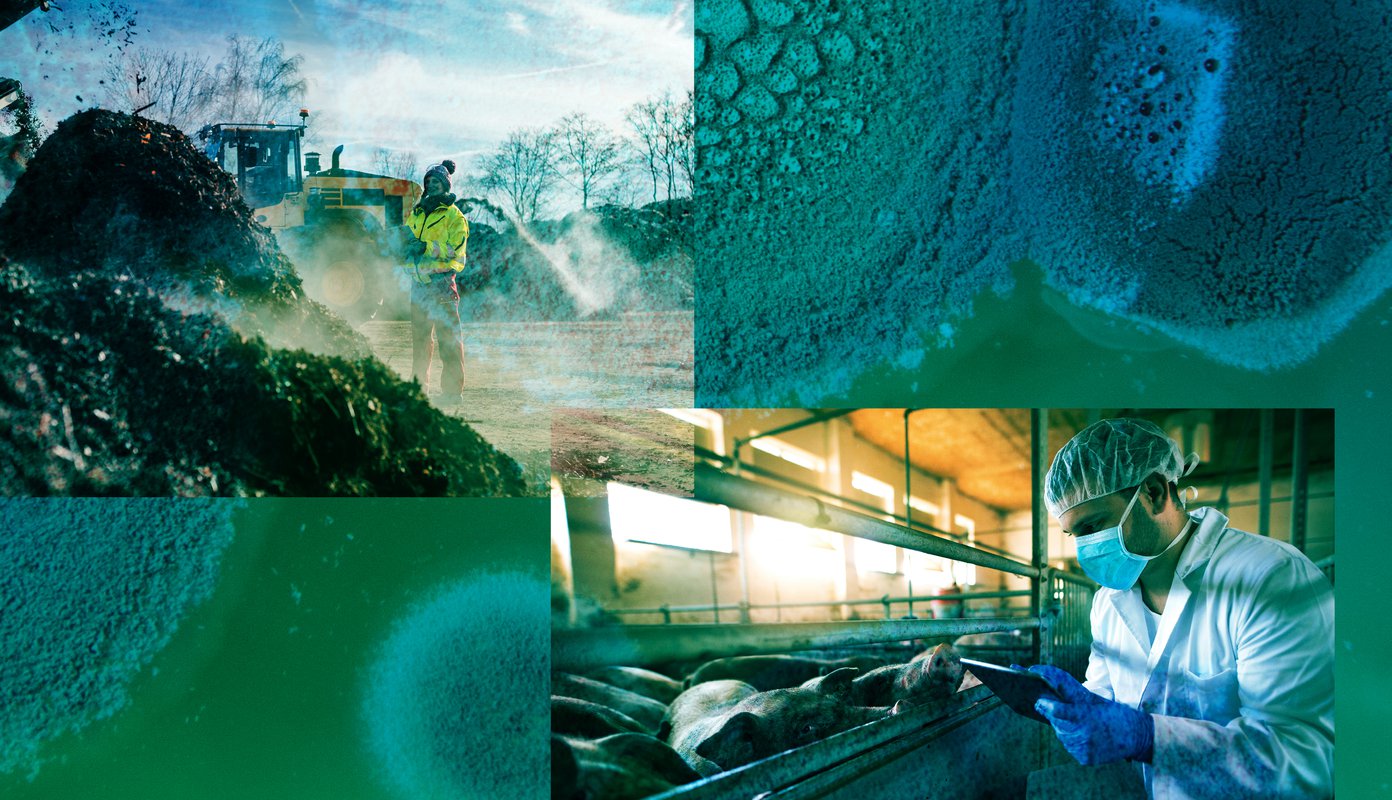 The New TLV for Endotoxins