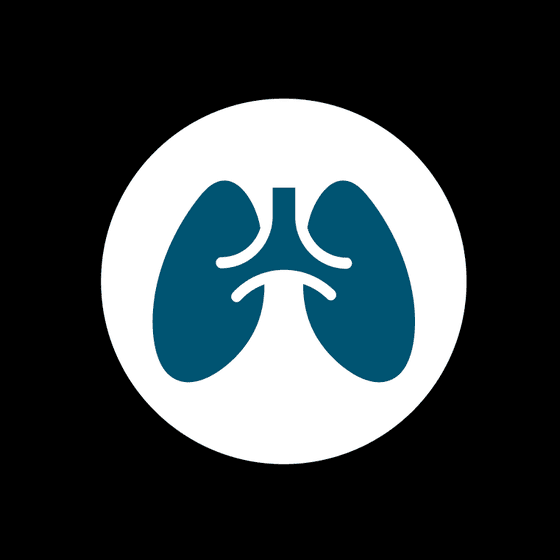 EPA Completes Final Cleanups of Libby Properties